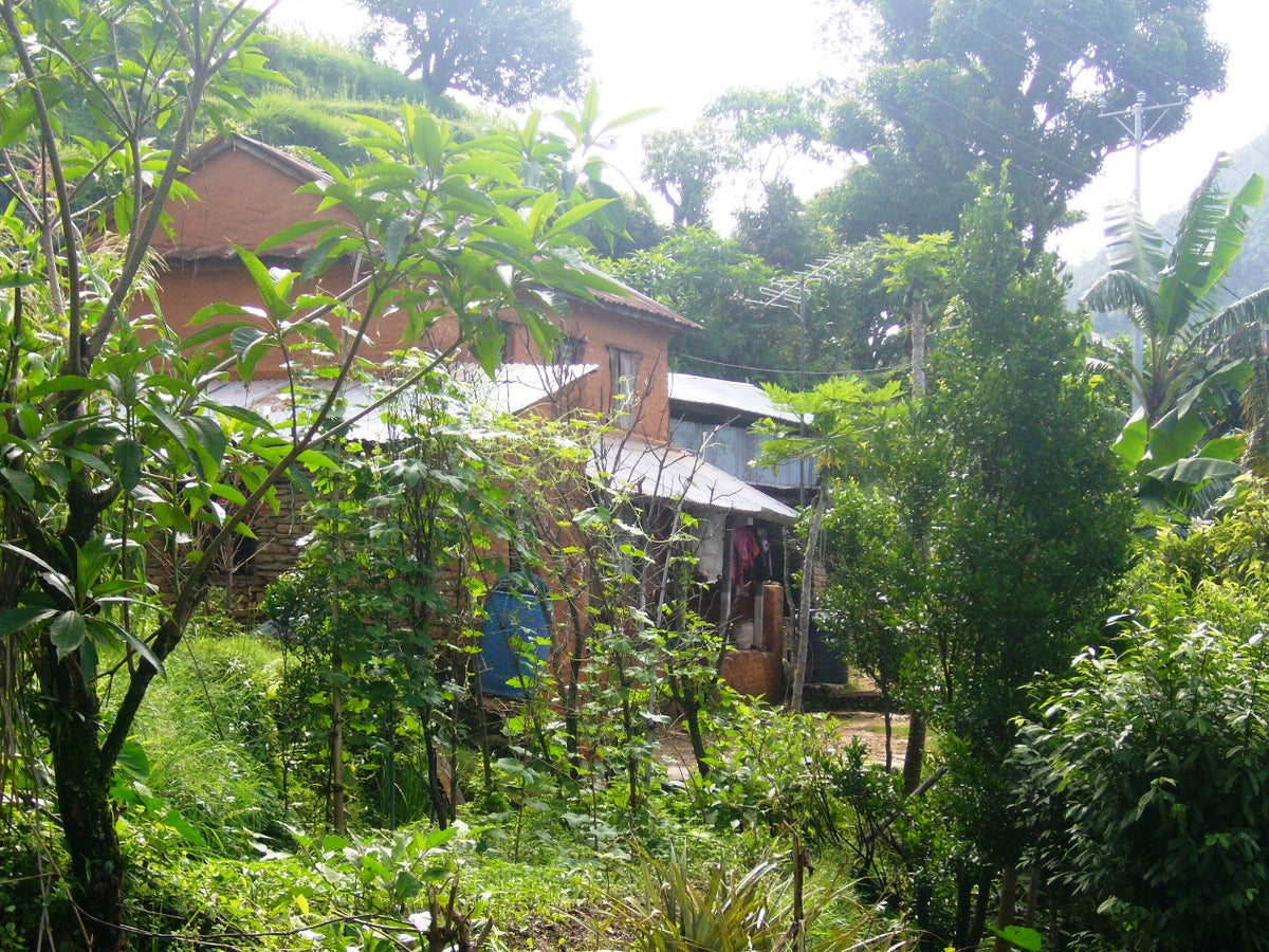 The village where Surya was born